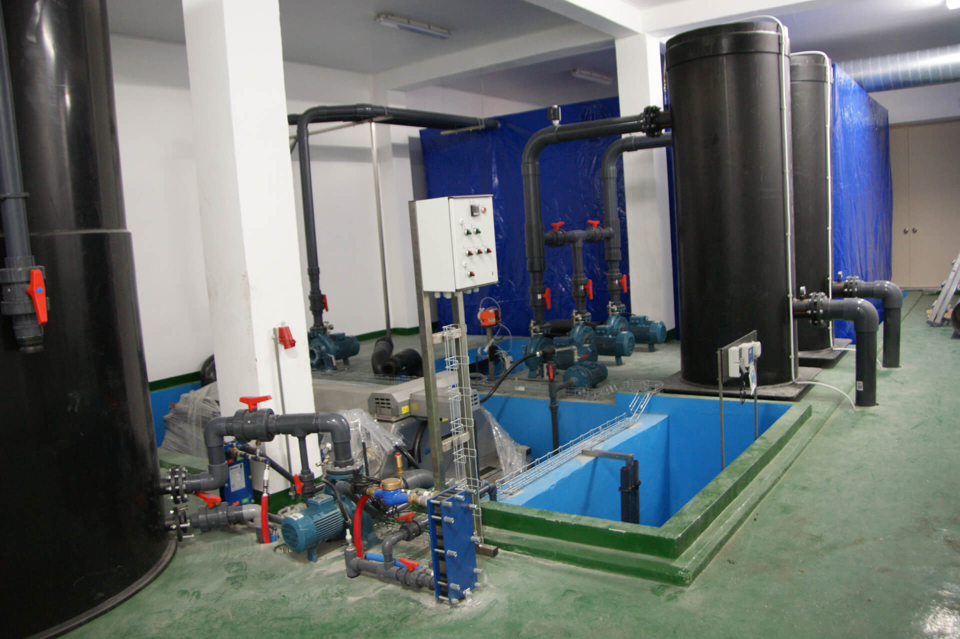 Sturgeon | HESY Aquaculture