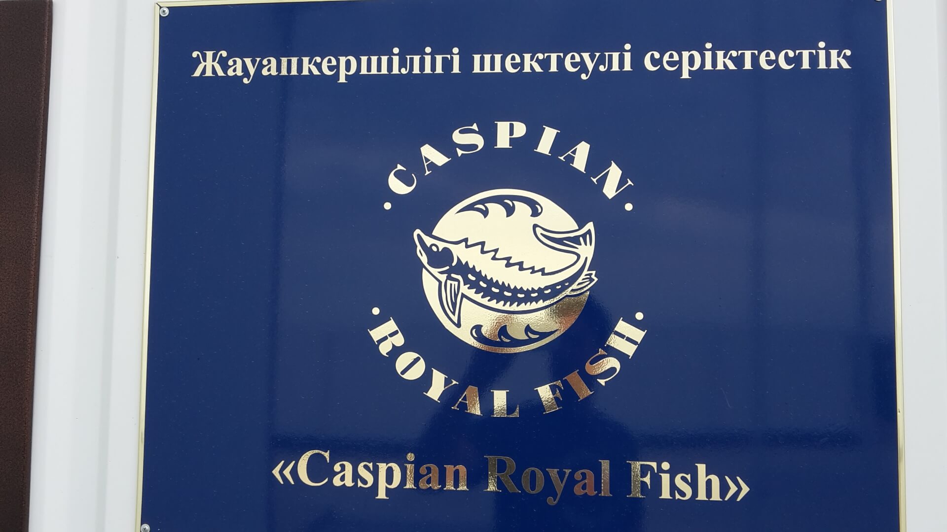 Caspian Royal Fish | HESY Aquaculture