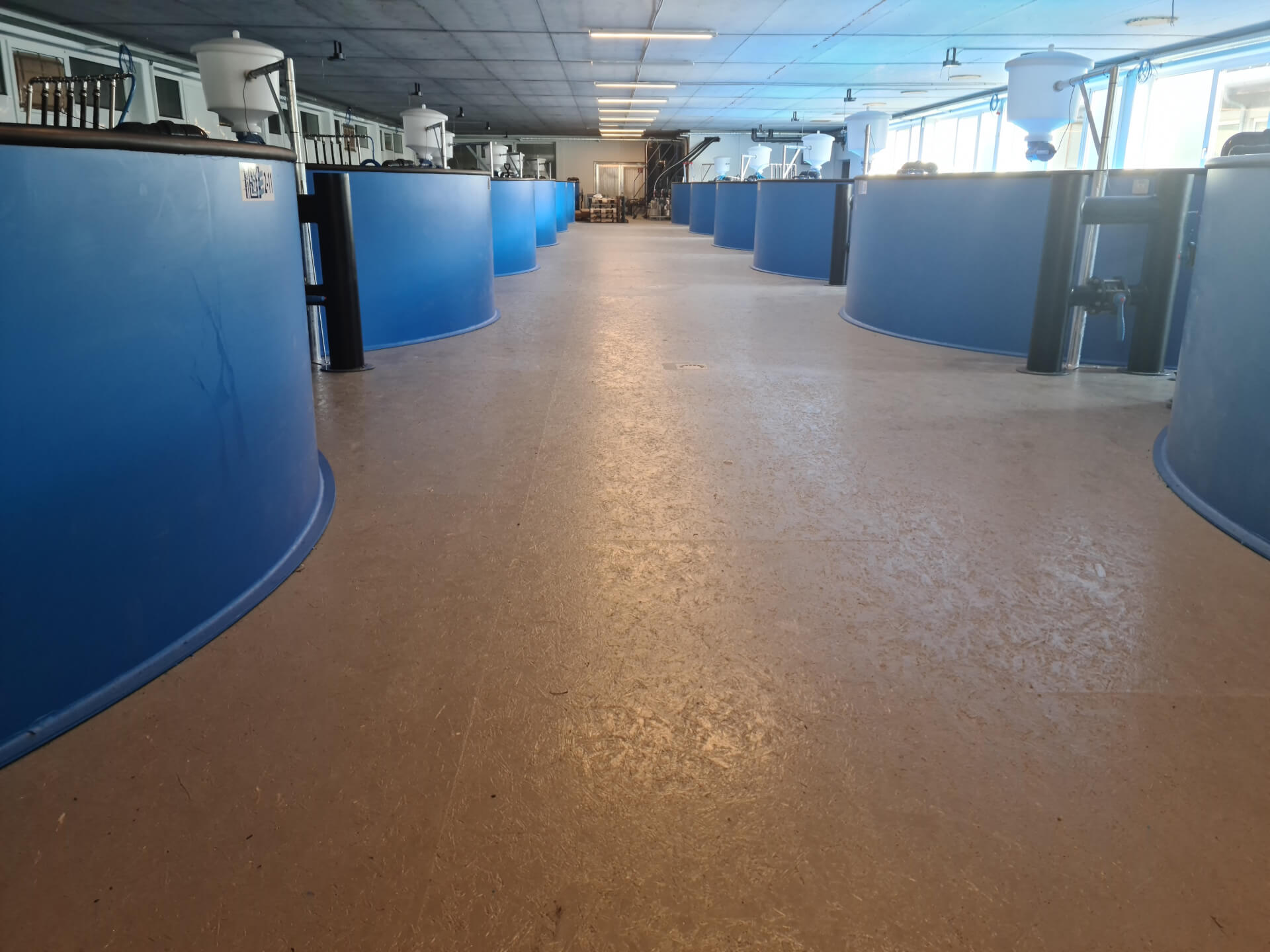 FrischFang | HESY Aquaculture