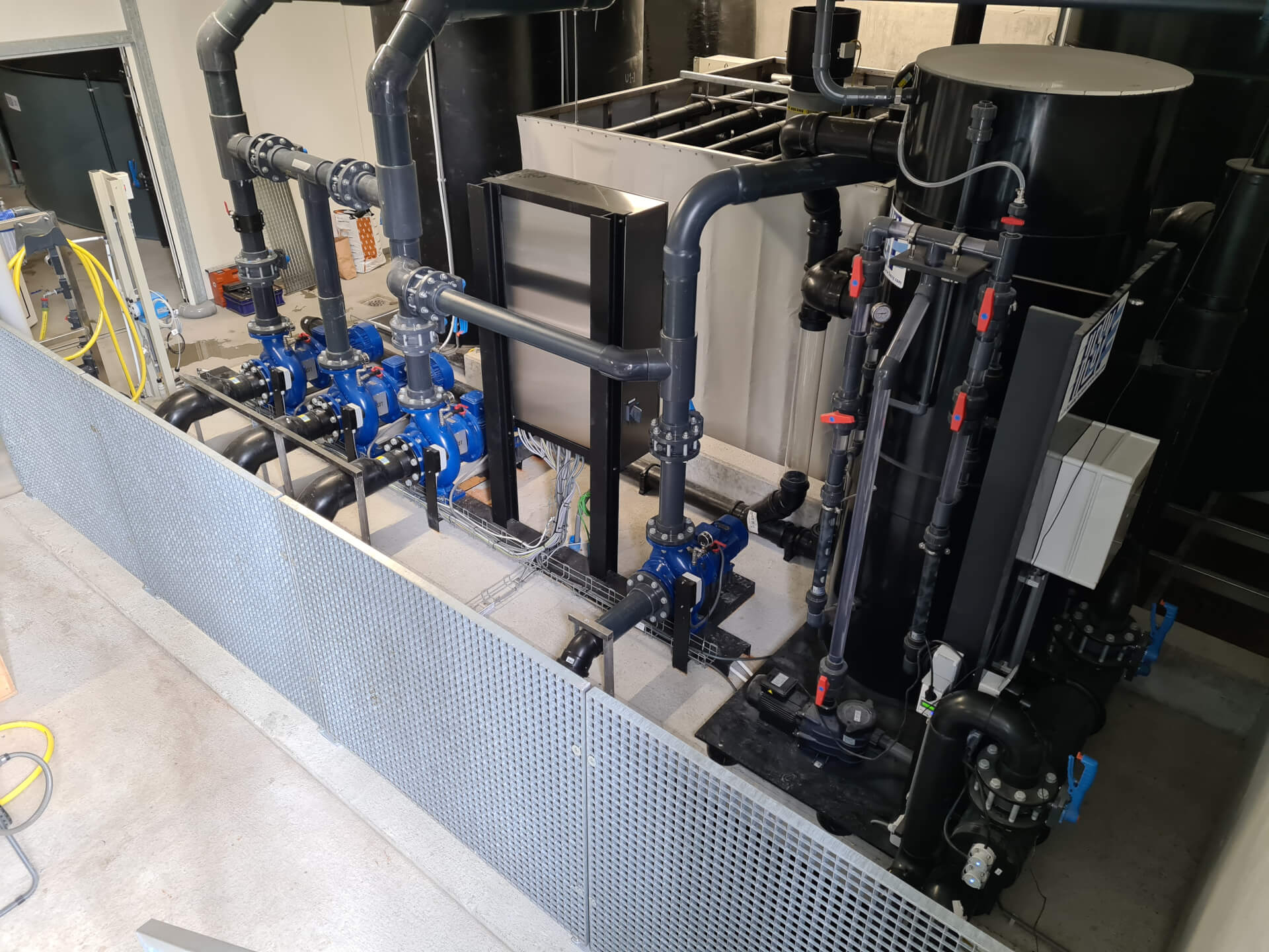 Pilgrims | HESY Aquaculture