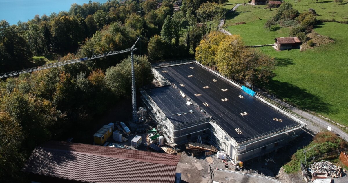 Pilgrims | HESY Aquaculture