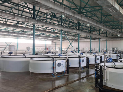 Azerbaijan Fish Farm | HESY Aquaculture